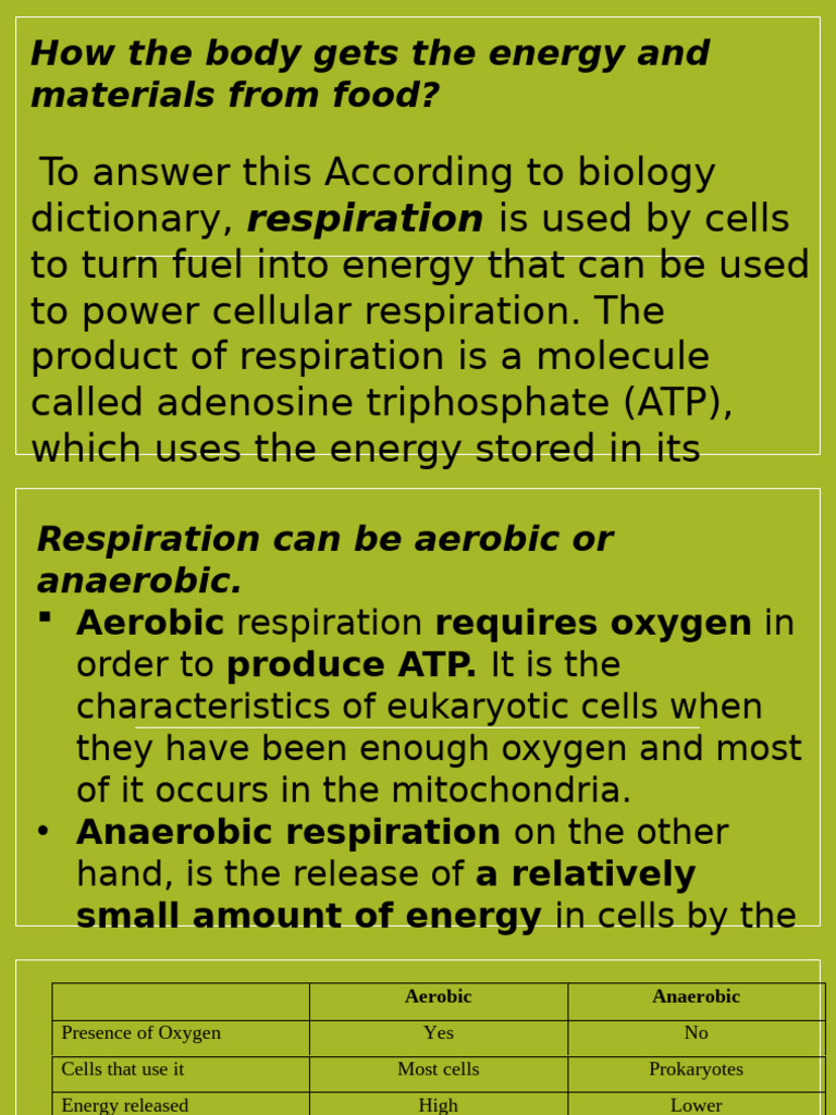Cellular Respiration Lesson 1 | PDF | Cellular Respiration | Diet ...