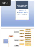 Antibiotic Coverage Chart 2024 | PDF
