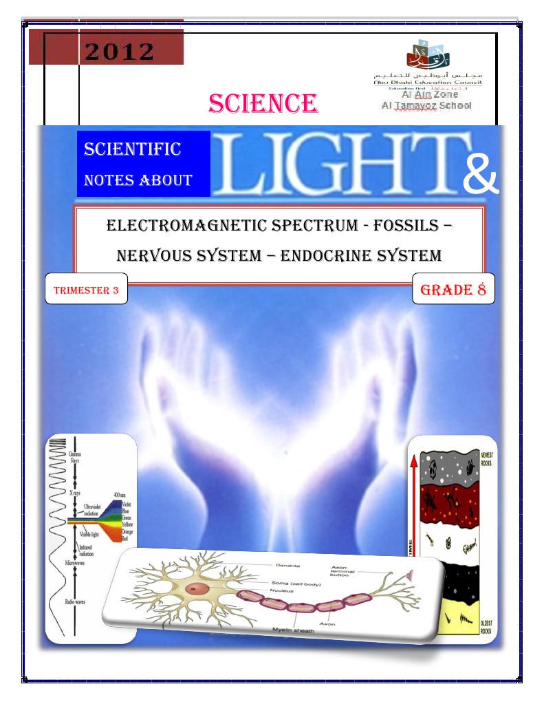 Grade 8 Science Notes: Trimester 3 Topics | PDF