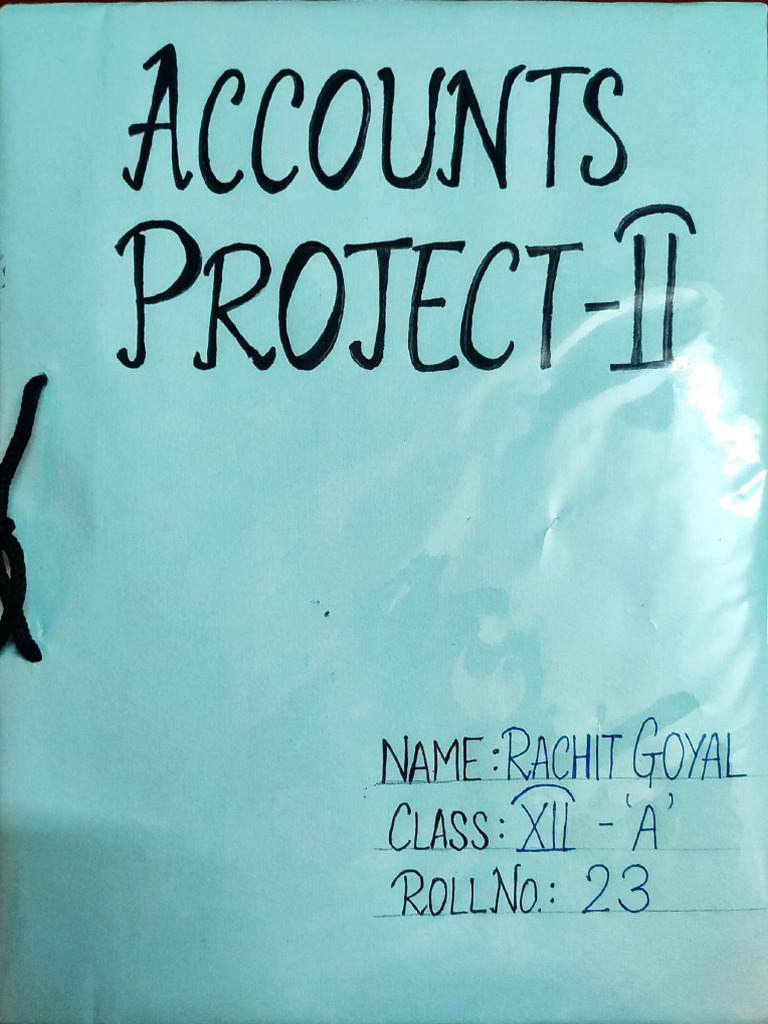 Accounts Project - 2 | PDF