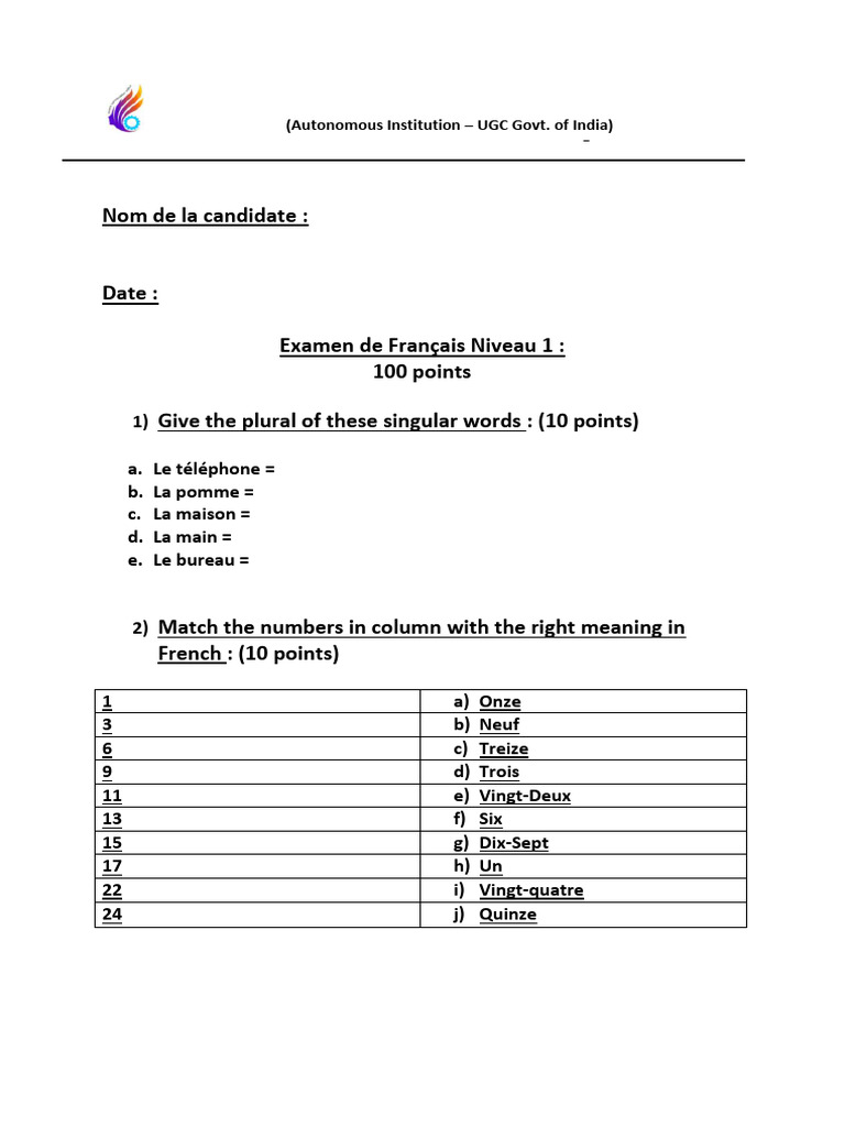 French Plural Nouns Worksheet | PDF | Grammar | Linguistic Morphology
