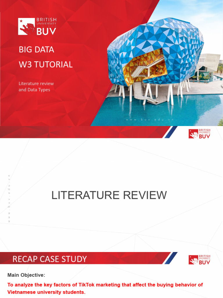 w3 Big Data Casestudy-G Merola | PDF | Behavior | Marketing