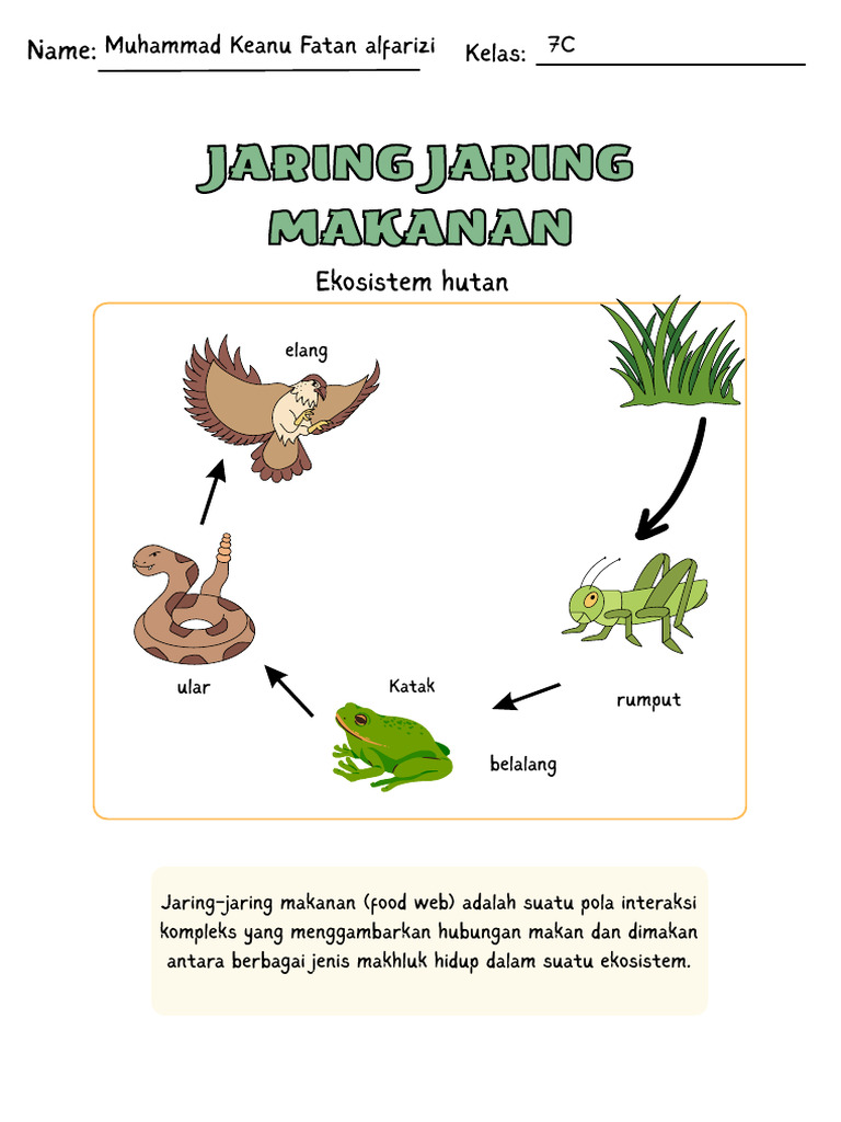 Exploring Food Webs Activity Science Worksheet in Green Brown Hand ...