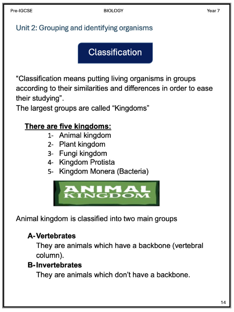 Classification Invertebrates | PDF