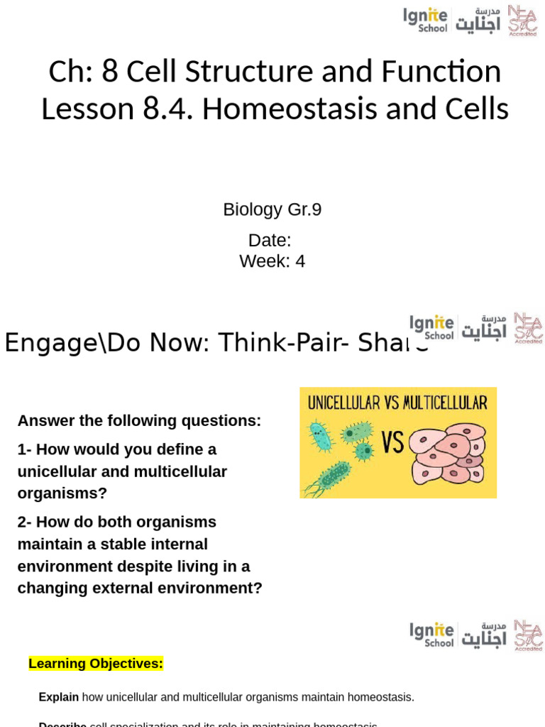 8 4 +Homeostasis+and+Cells | PDF | Organisms | Cell Signaling