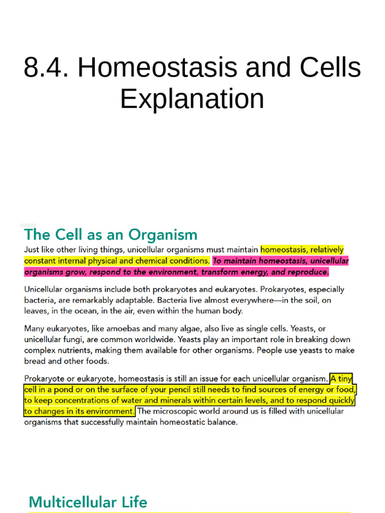 8.4. Homeostasis and Cells Explanation | PDF