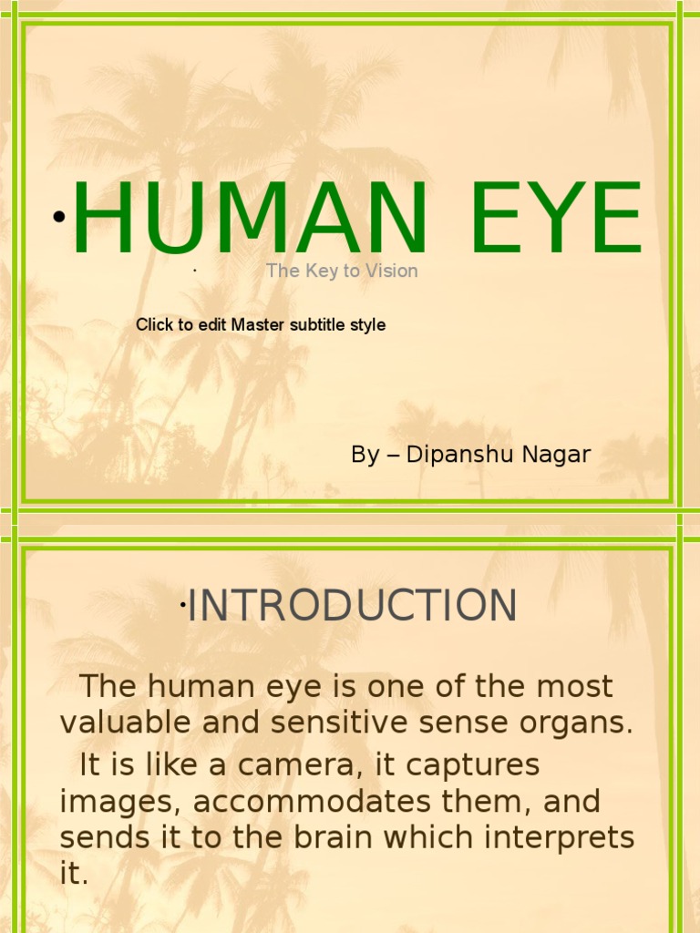 Human Eye Presentation | PDF | Human Eye | Cornea