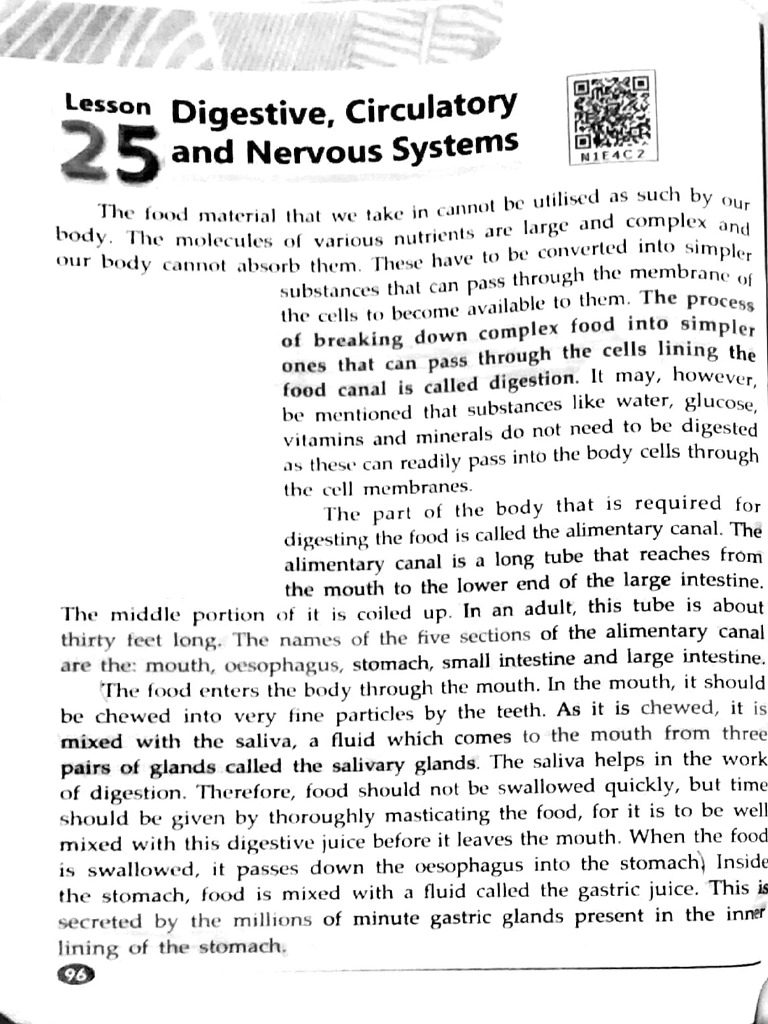 Digestive, Circulatory and Nervous Systems | PDF