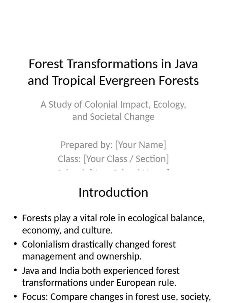 Forest Transformations Java Tropical Forests | PDF | Forests ...