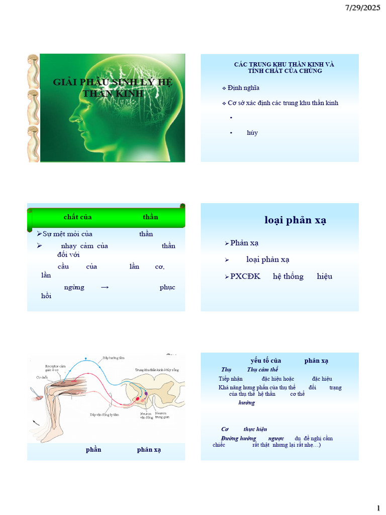 Giai Phau Sinh Ly He Than Kinh - T5-7 New | PDF