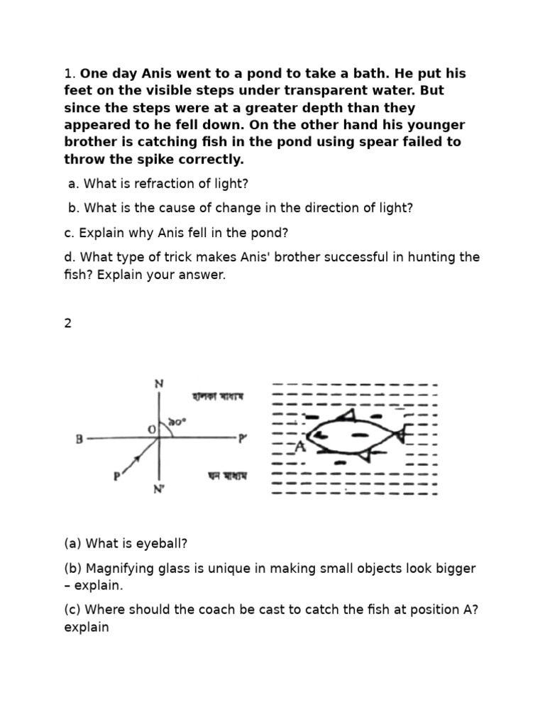 Science Exam Questions. (Light) | PDF