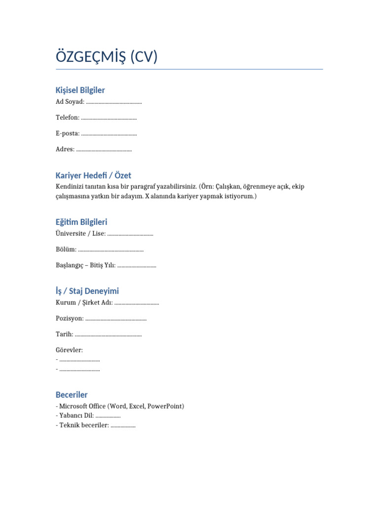 CV_Ornek | PDF
