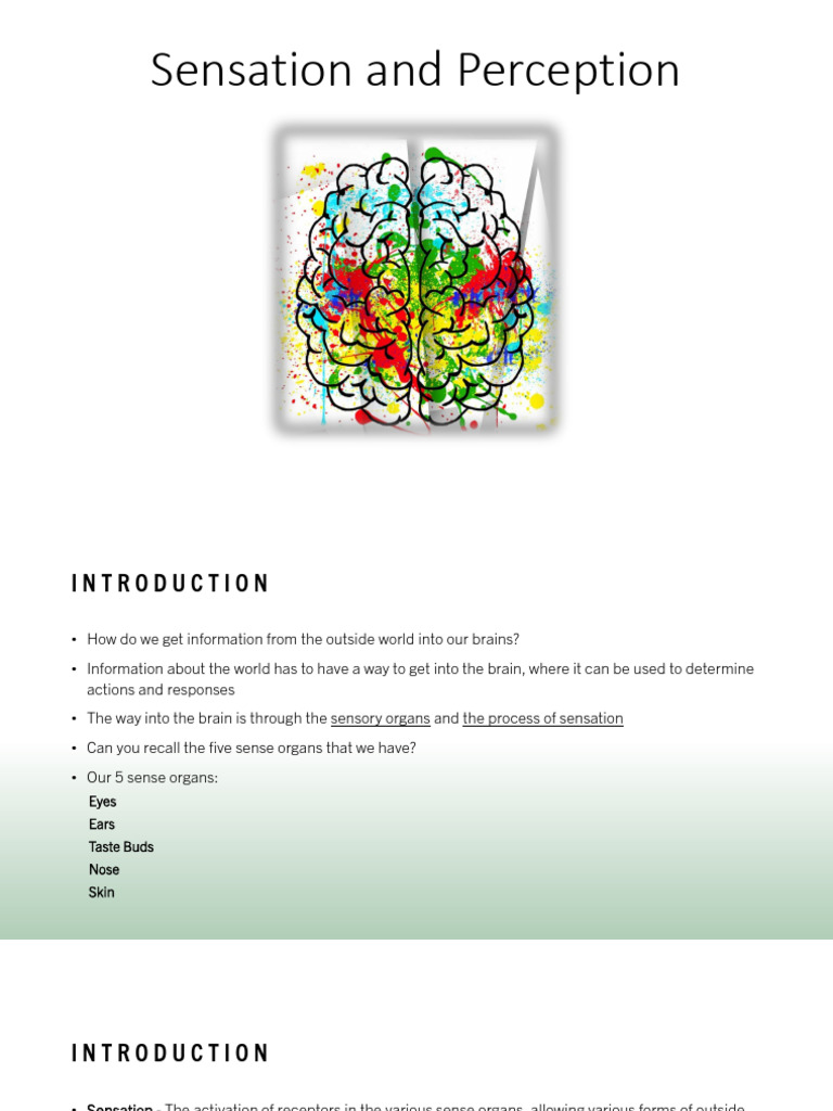Understanding Sensation and Perception | PDF | Senses | Taste
