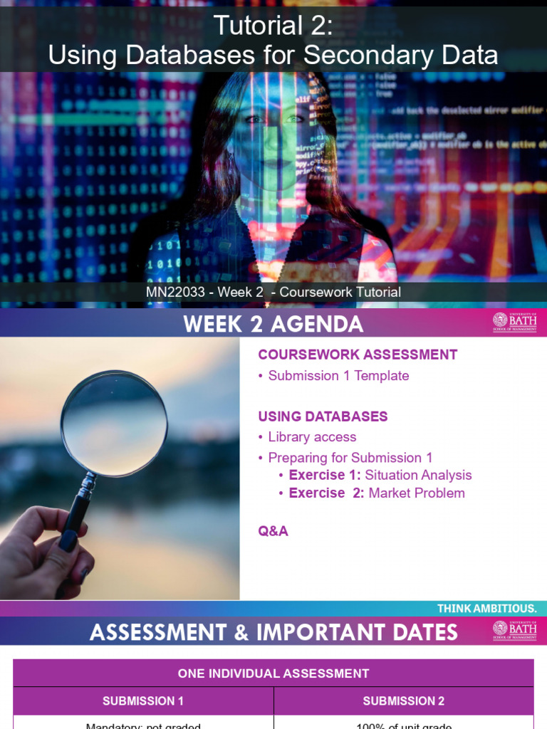 MN22033 - Week 2 - Intro To Databases Tutorial | PDF | Marketing