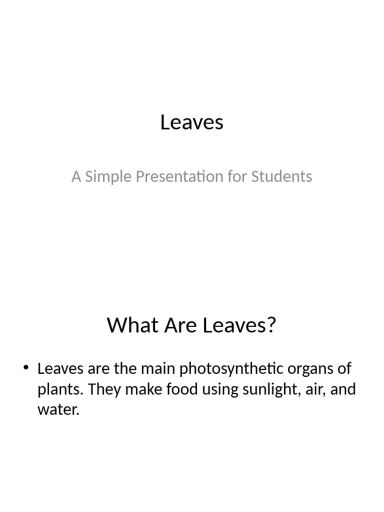 Understanding Leaves: Functions & Types | PDF