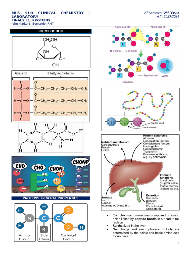 CC Lab - Finals - L1 | PDF | Proteins | Chemistry