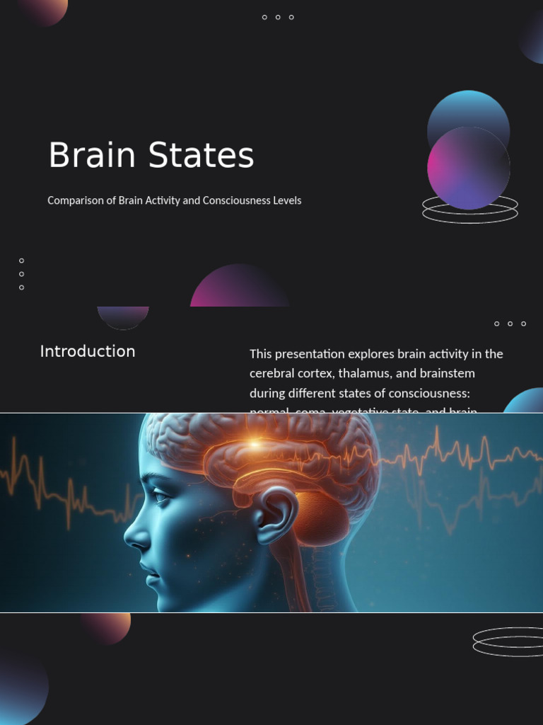 Brain States | PDF | Coma | Brain