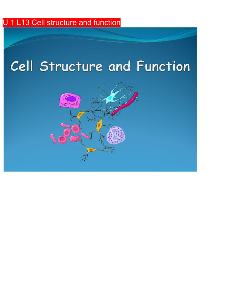 U1 L 3 Cells Strucure and Function (Autosaved) | PDF | Cell (Biology ...