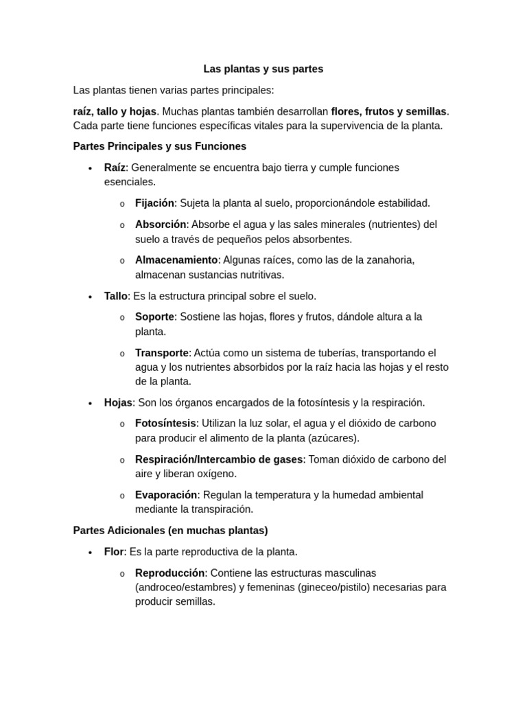 Partes de las Plantas y sus Funciones | PDF