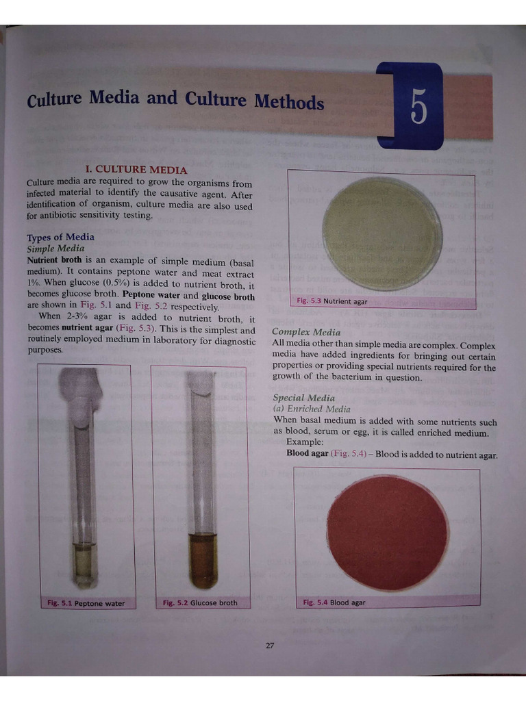 Culture Media and Culture Methods | PDF