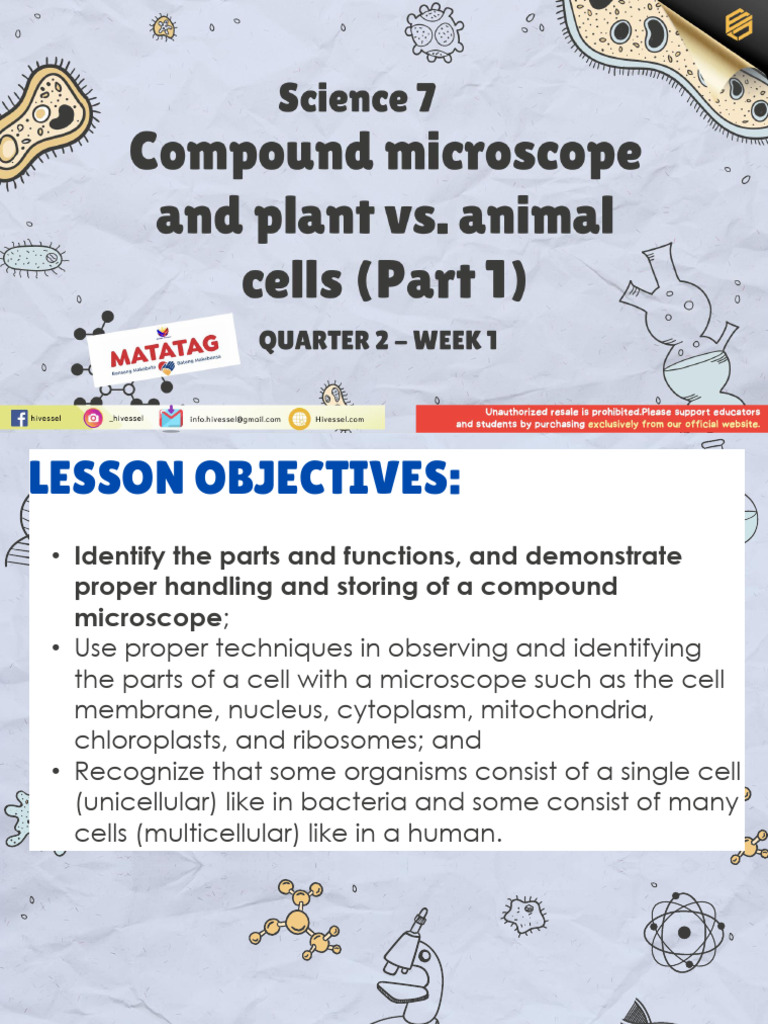 Quarter 2 Week 1 Parts and Function of A Microscope | PDF | Microscope ...