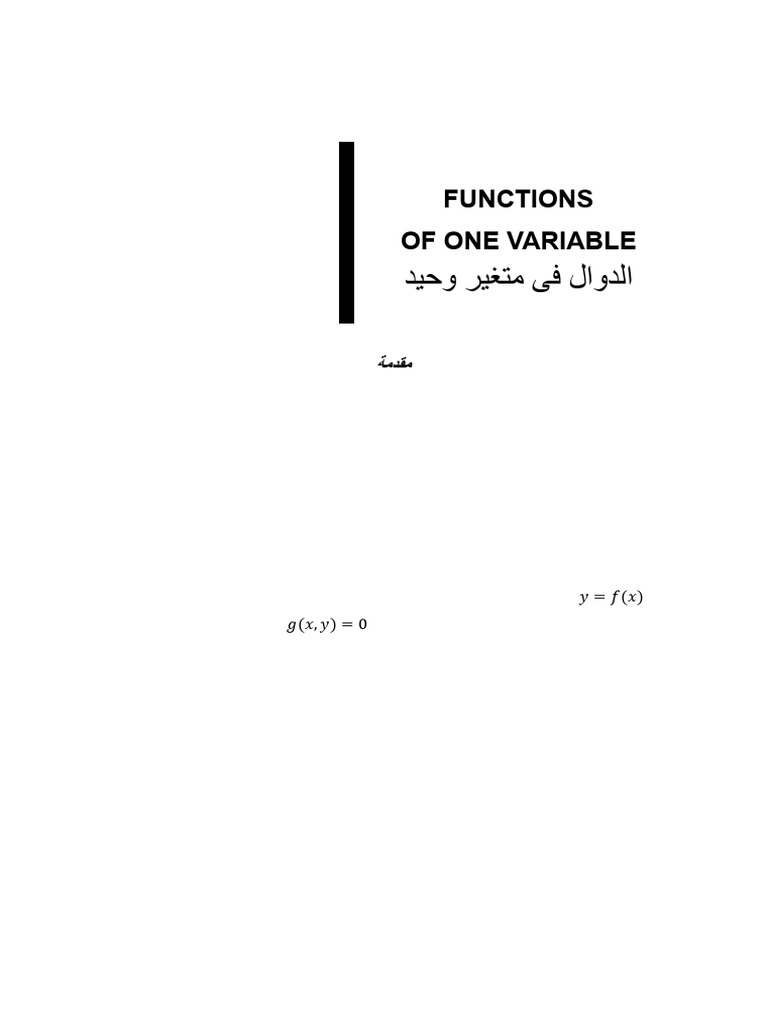 Chapter 1 Functions | PDF | Function (Mathematics) | Variable (Mathematics)