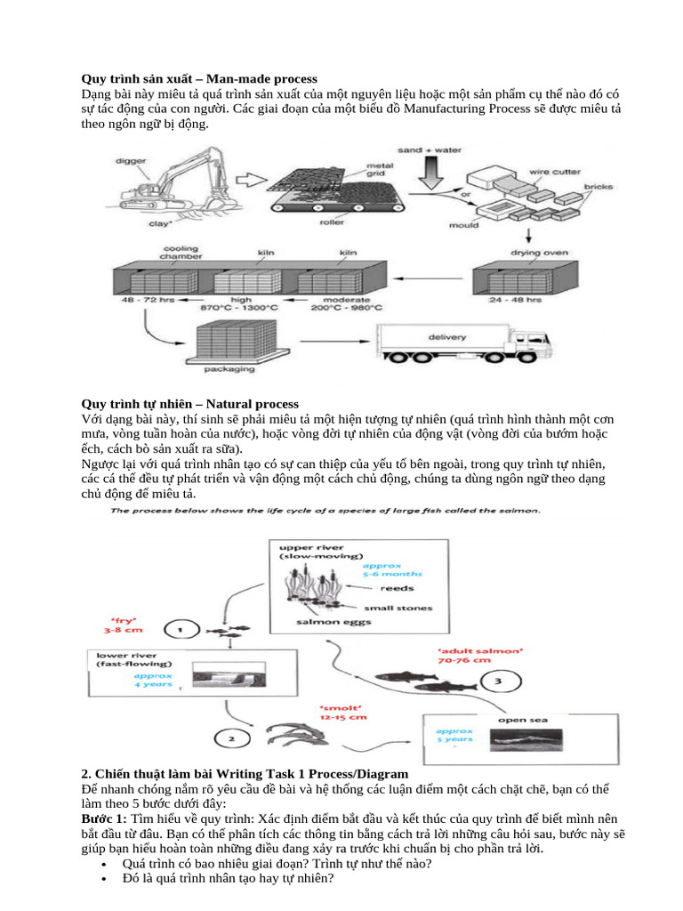 IELTS Writing Task 1 Sample - Process & Map - ZIM | PDF