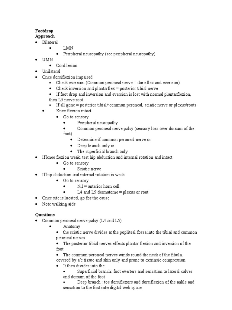 Foot Drop | PDF | Anatomical Terms Of Motion | Foot