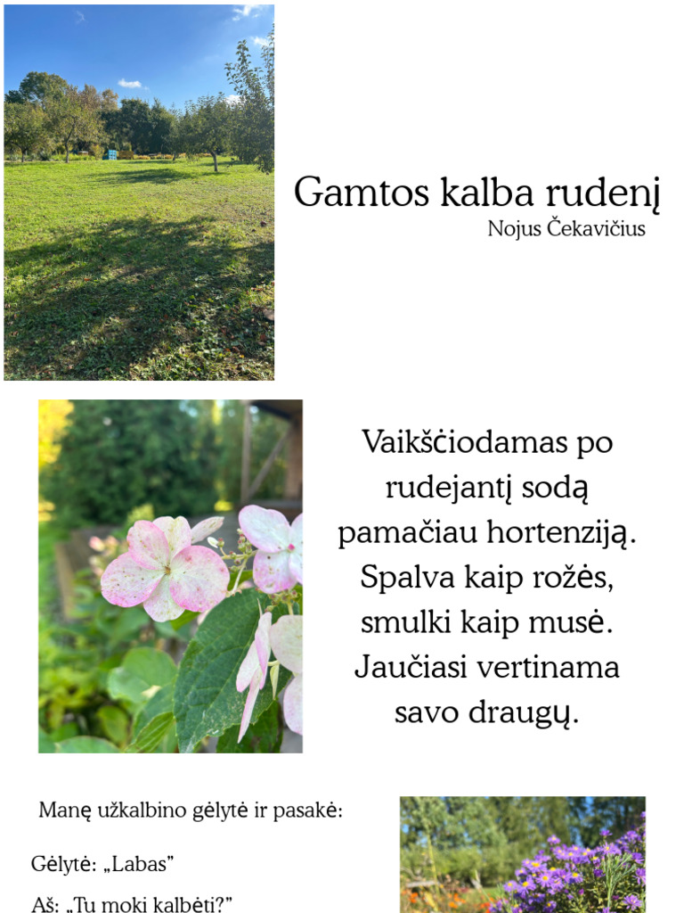 Gamtos Kalba | PDF