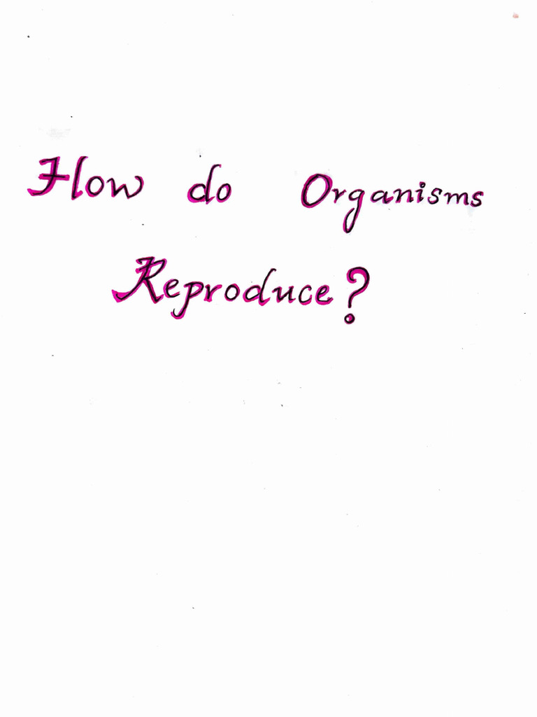 How Do Organism Bio | PDF