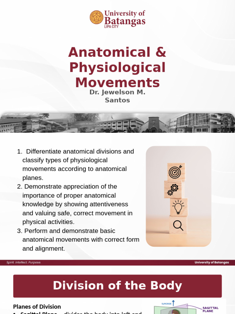 Anatomical Movements and Planes Guide | PDF | Anatomical Terms Of ...