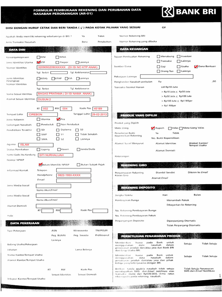 Contoh Pengisian Formulir Bank Bri Pip | PDF