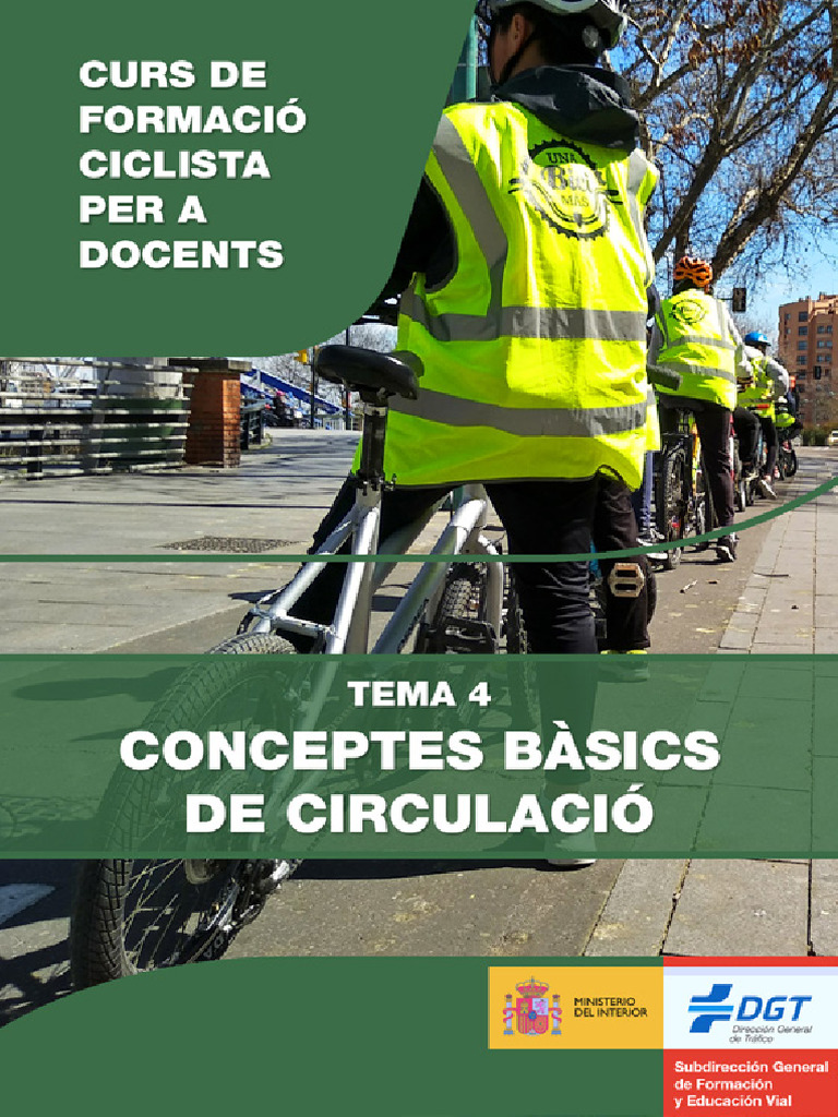 Tema4 Cat | PDF