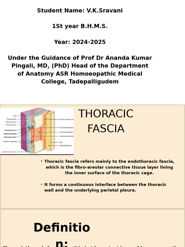 Thoracic Fascia by v.k.sravani Rollno62_20251116_074043_0000 | PDF