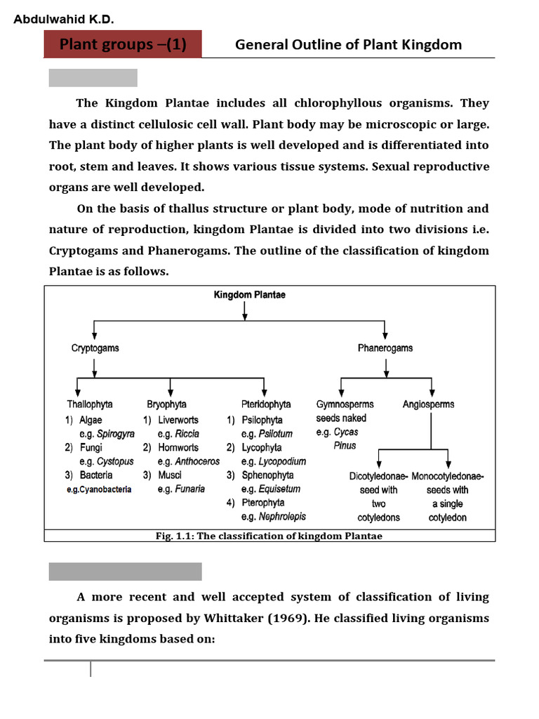 Plant Groups Lecture (1) 2023 2024 | PDF | Biology | Organisms