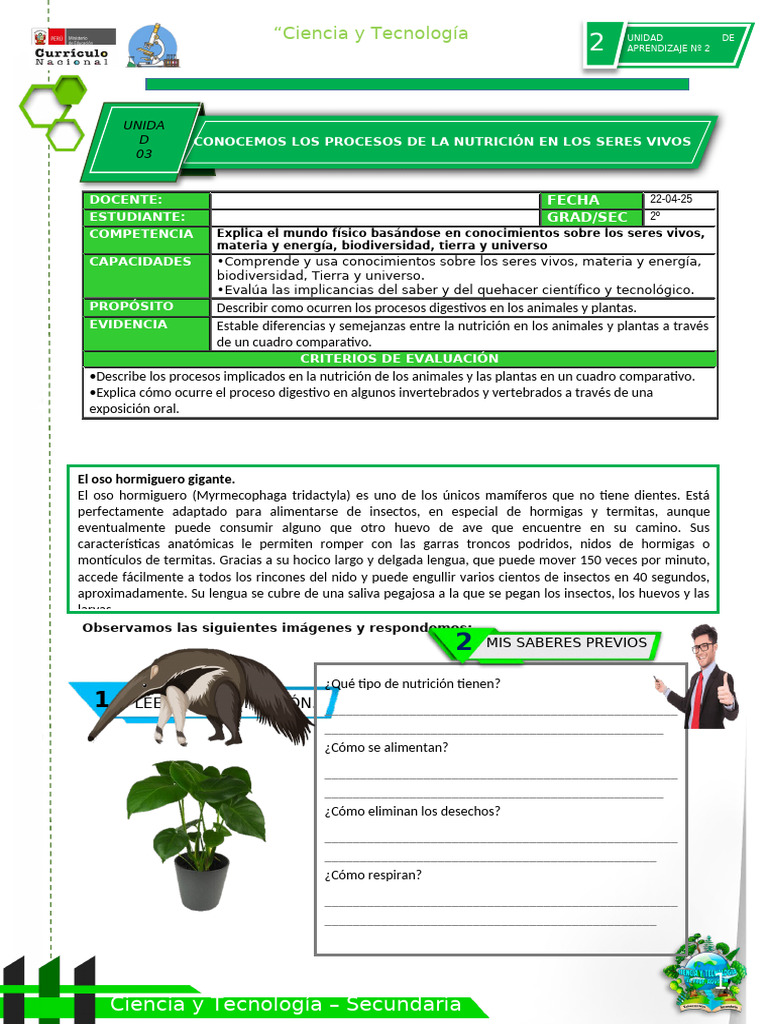 A-2º Act 1 Cyt Unid 2 | PDF | Sistema digestivo humano | Digestión