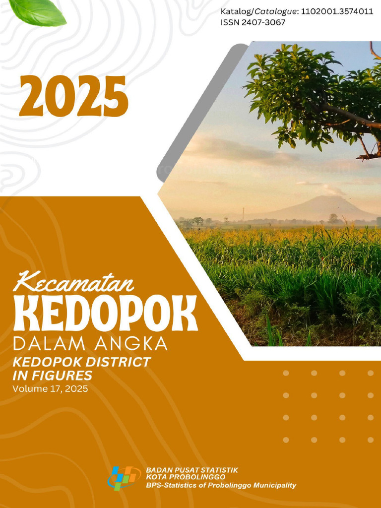 Statistik Kedopok 2025: Data Terbaru | PDF