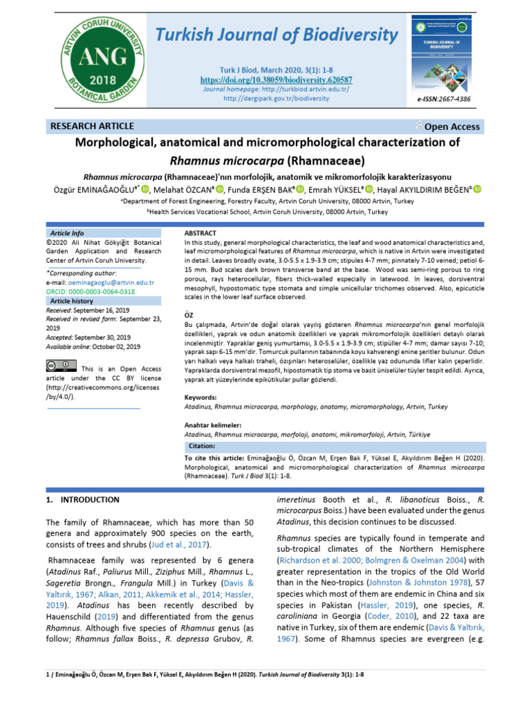 Morphological Anatomical and Micromorphological 1ywhewm76h | PDF | Leaf ...