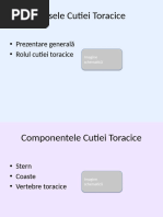 Prezentare Grupa 155 | PDF