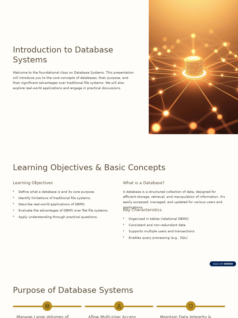 DBMS - Class 01-Introduction To Database Systems | PDF | Databases | Database Transaction
