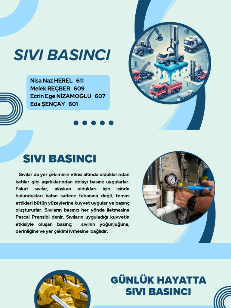 SIVI BASINCI | PDF