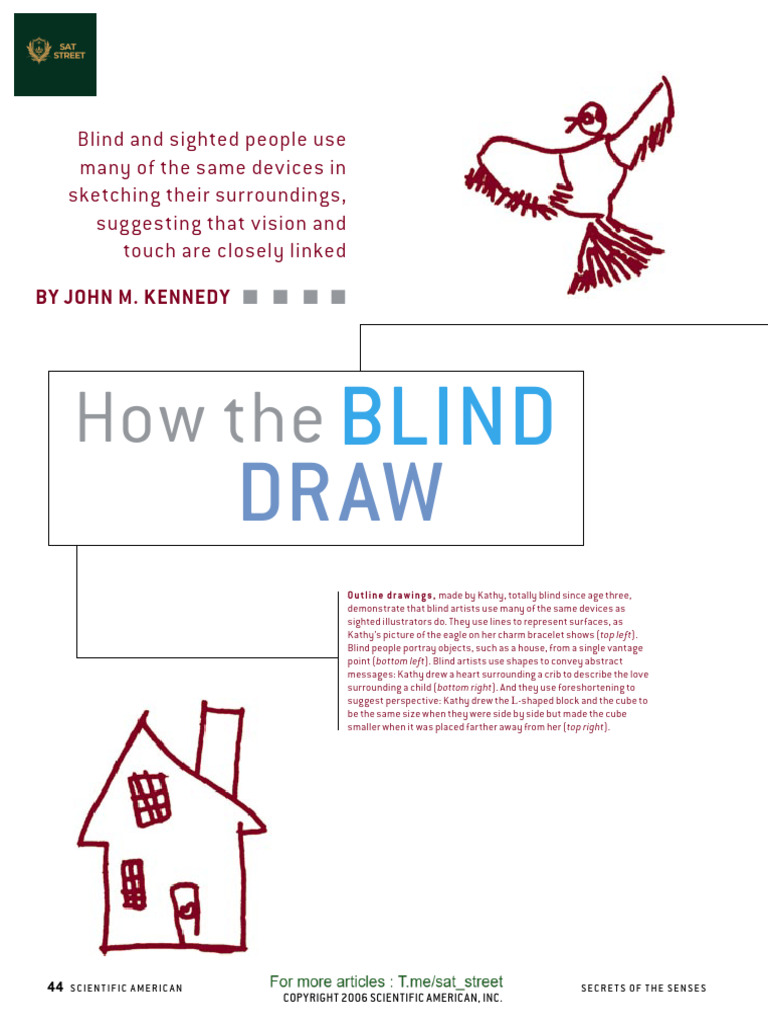 How The Blind Draw @sat - Street | PDF | Drawing | Perception
