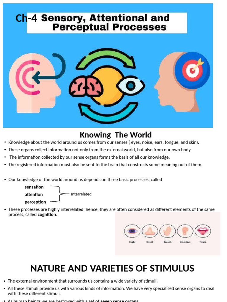 Ch-4 Sensory, Attentional and Perceptual Processes | PDF | Senses | Perception