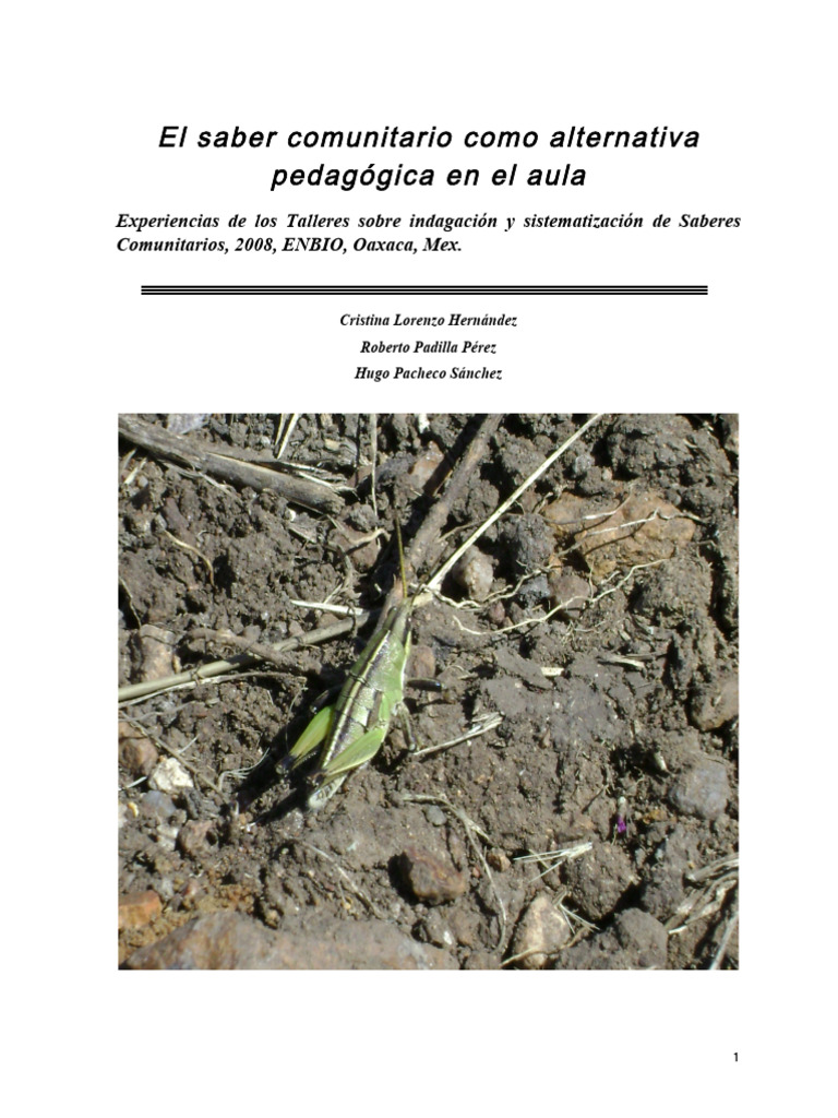 Saber comunitario en educación bilingüe | PDF | Plan de estudios ...
