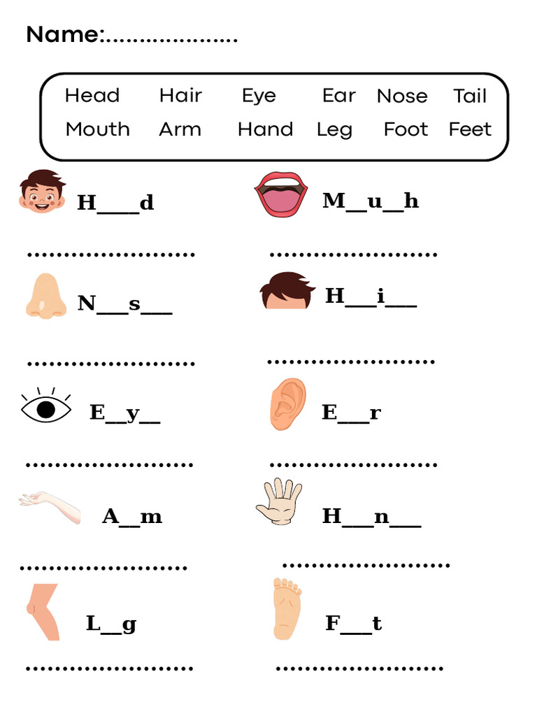 Handout Body | PDF