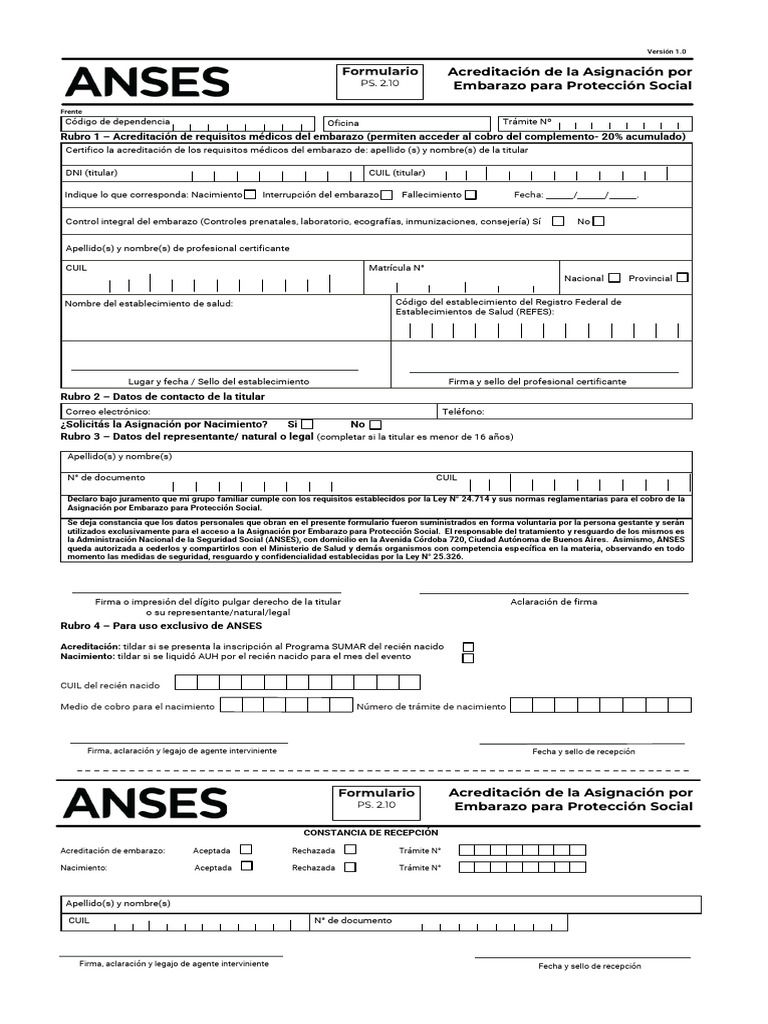 Formulario Asignación Embarazo ANSES | PDF