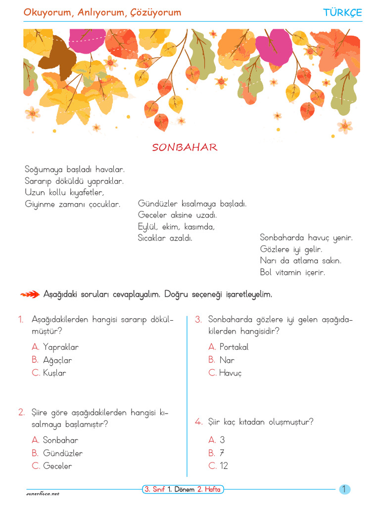Sinif Haftalik Odev 1. Donem 2. Hafta | PDF