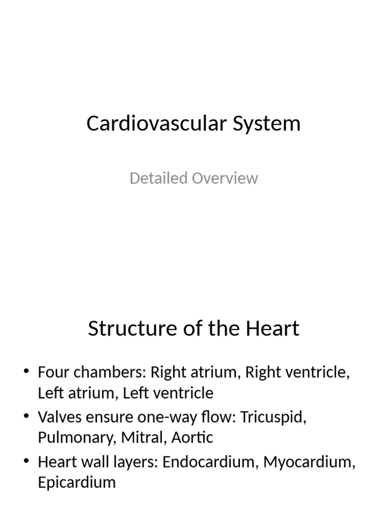 Cardiovascular System Detailed | PDF
