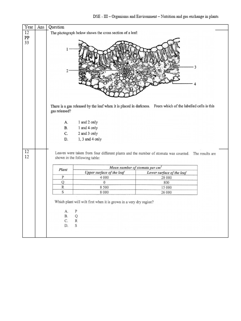 Ch10 DSE MC-III O&E - A1 - Nutrition and Gas Exchange in Plants - S | PDF
