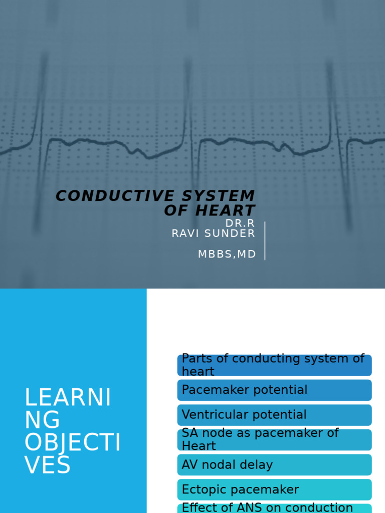 Physiology- Conductive System of Heart | PDF | Heart | Cardiac ...